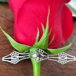 Vintage | Jewelry | Vintage Order Of The Eastern Star Posy Pin Brooch ...
